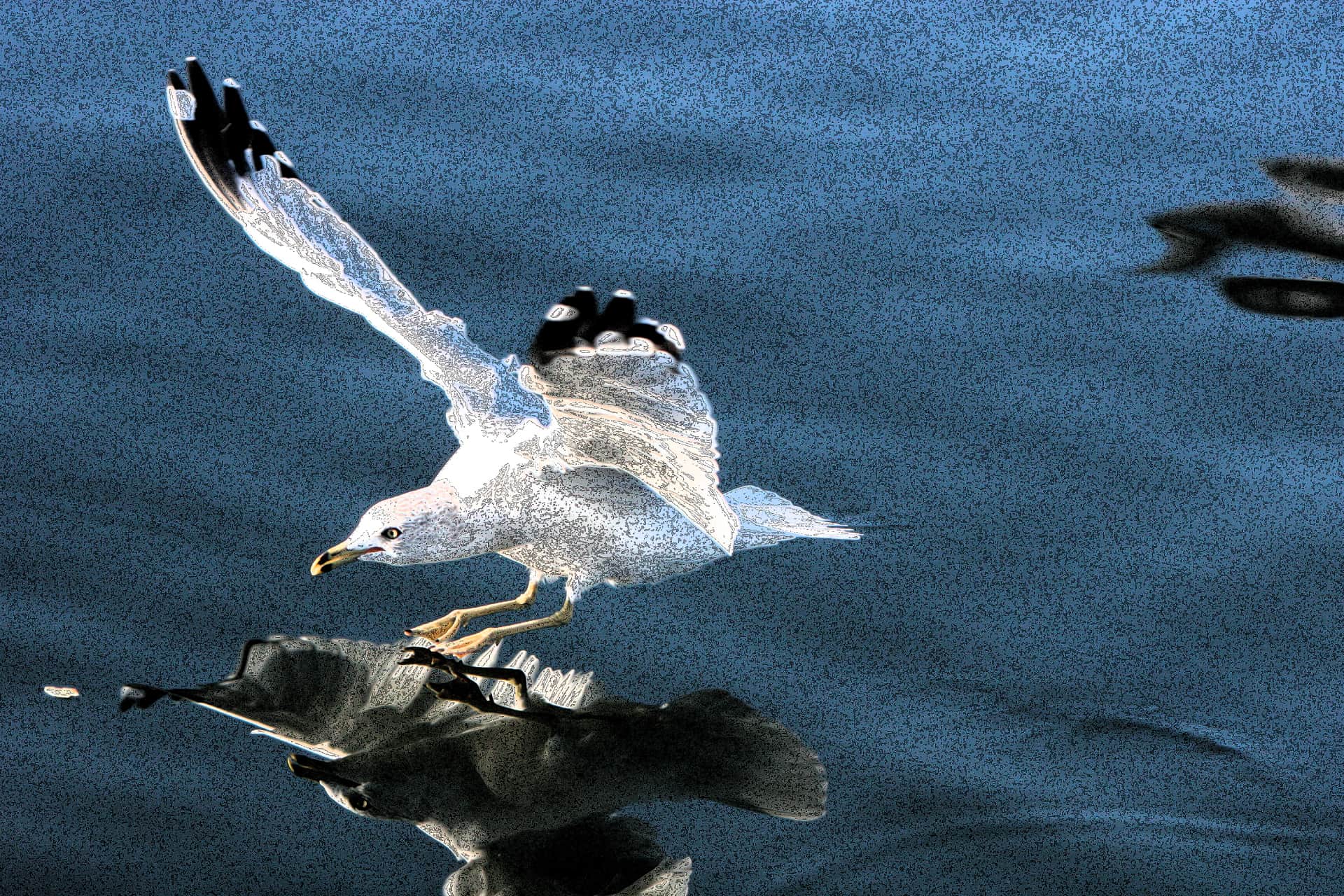 Self-Observation • Life Mastery Pearls