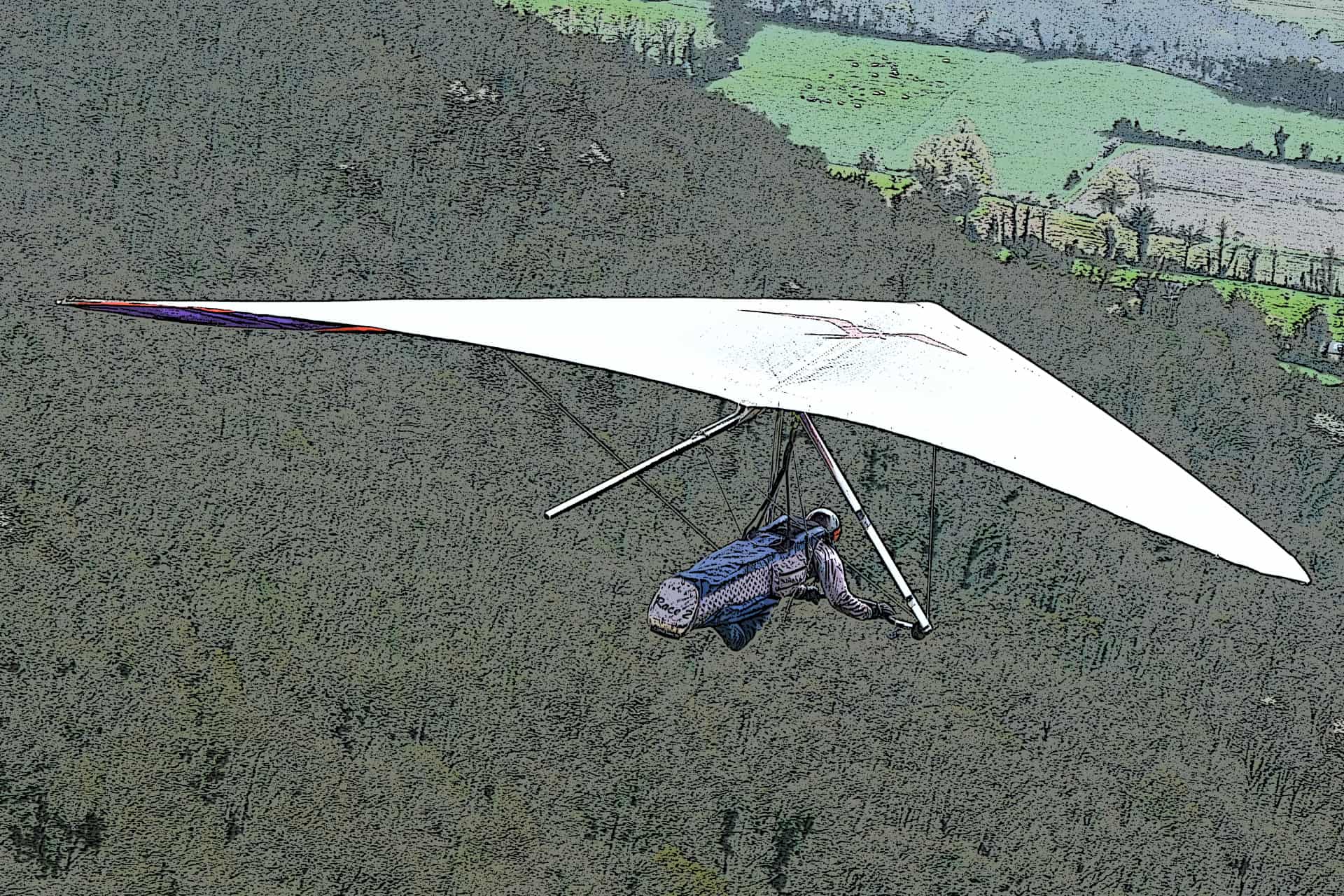 Live Full Out • Life Mastery Pearls