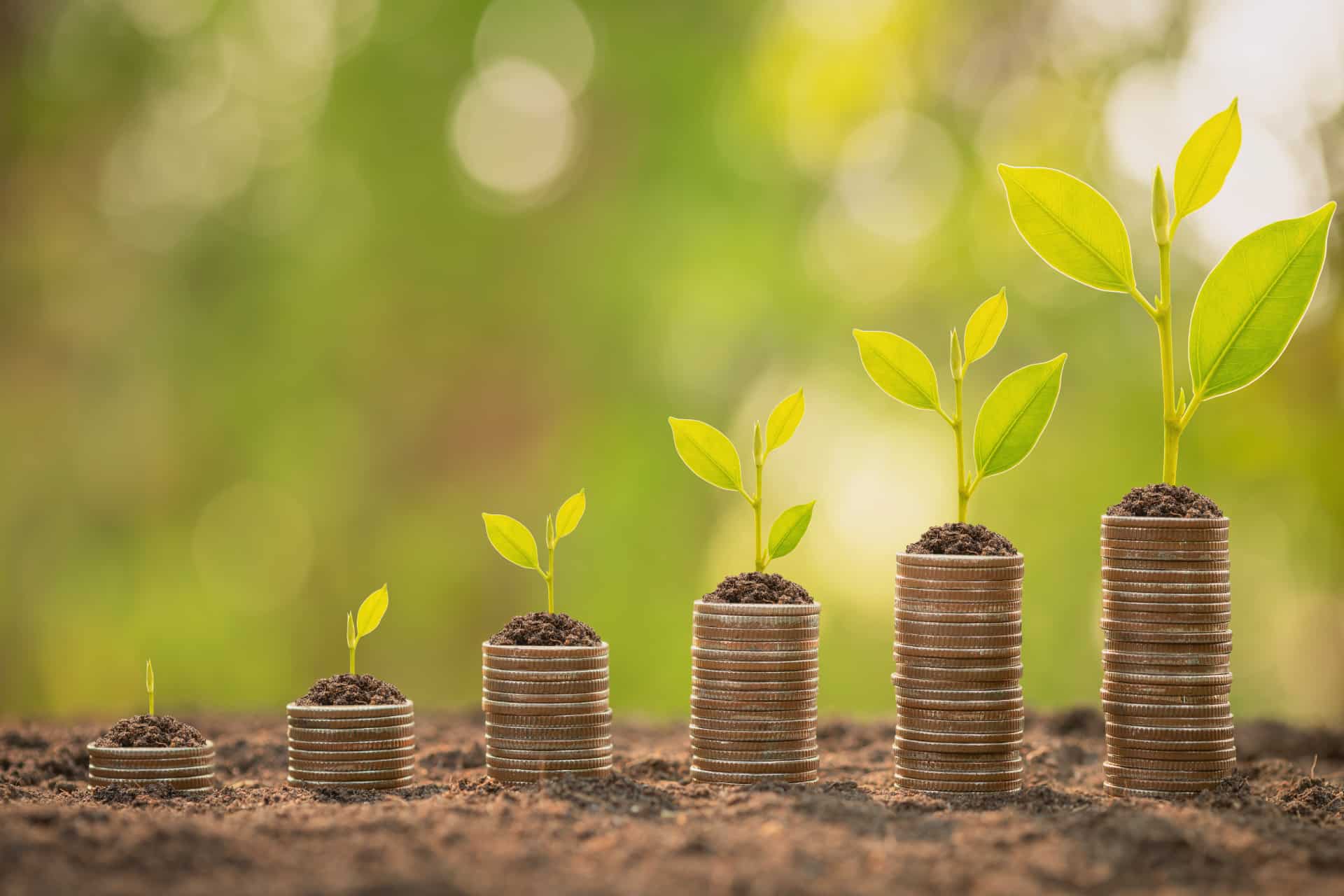 Money is a Tool • Life Mastery Pearls